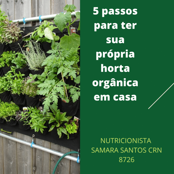 5 passos para ter sua própria horta orgânica em casa - Dieta do Chef